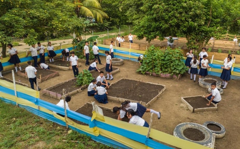 Huertos escolares, un programa que germina y enseña a cultivar