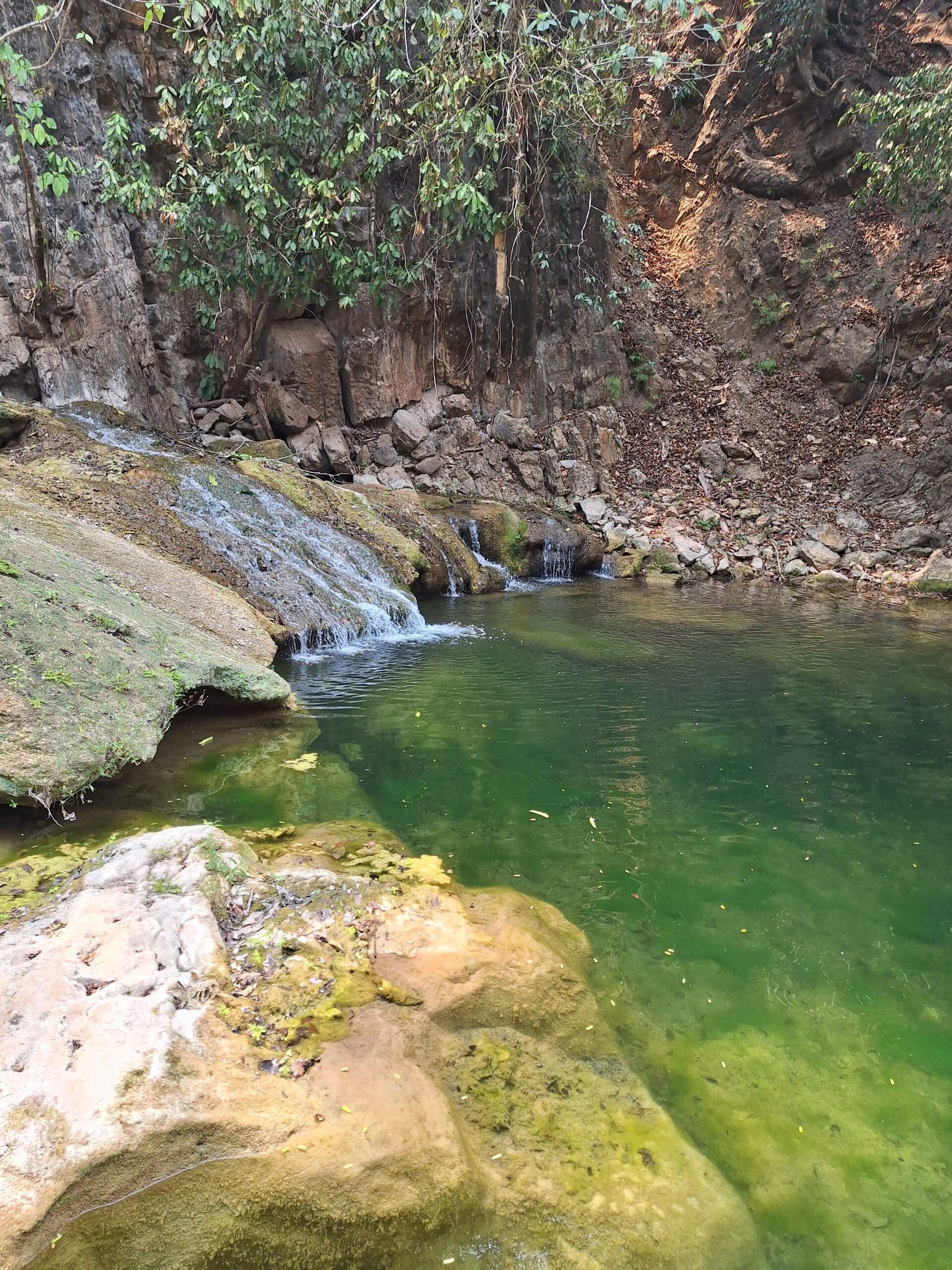 Muchos tesoros ocultos en Río Amapa: Cuevas, pozas y cascadas