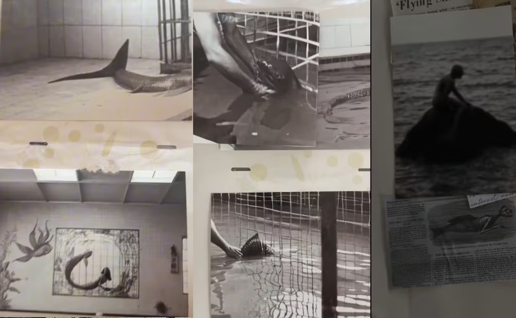 Según teoría, Cantinflas "retenía" sirenas en su mansión Acapulco