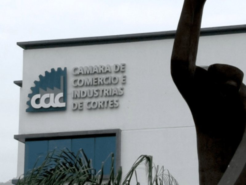 CCIC exhorta a mantener la transparencia electoral