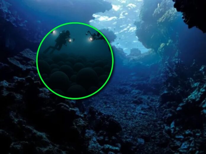 Científicos descubren huevos negros en lo profundo del Océano