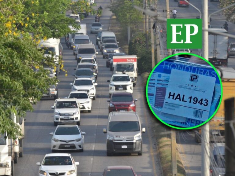 Pasos para pagar tu matrícula vehicular de este año