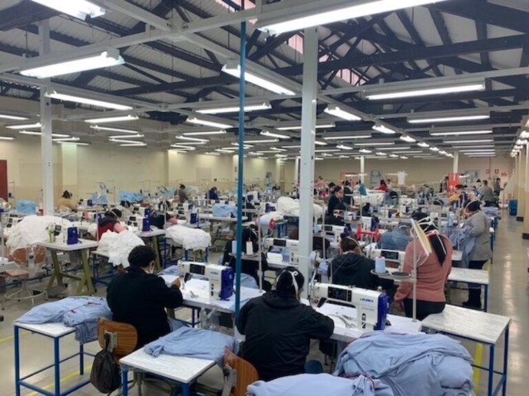 Más de 355 mil empleos se generaron en 2025, según INE
