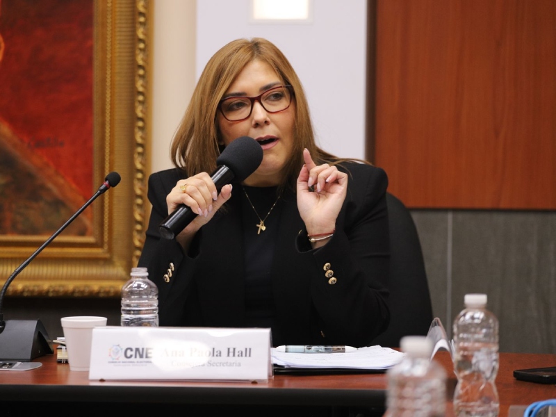 Presidenta del CNE aclara rol de FF.AA y Policía tras incidentes en INFOP
