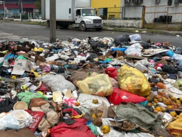Acumulación de basura genera alarma sanitaria en barrio Concepción de ...