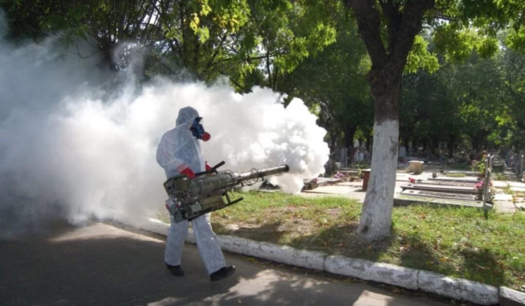 Colonias de San Pedro Sula serán fumigadas contra el dengue