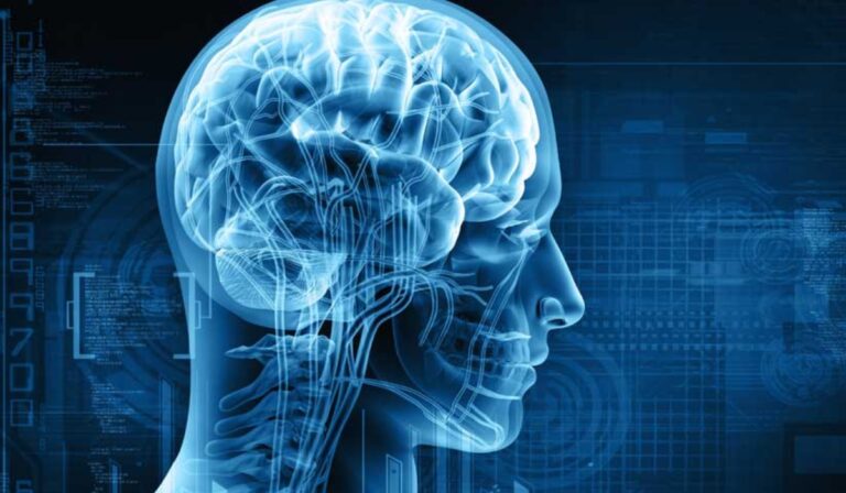 Cortisol: qué es, para qué sirve y por qué es importante